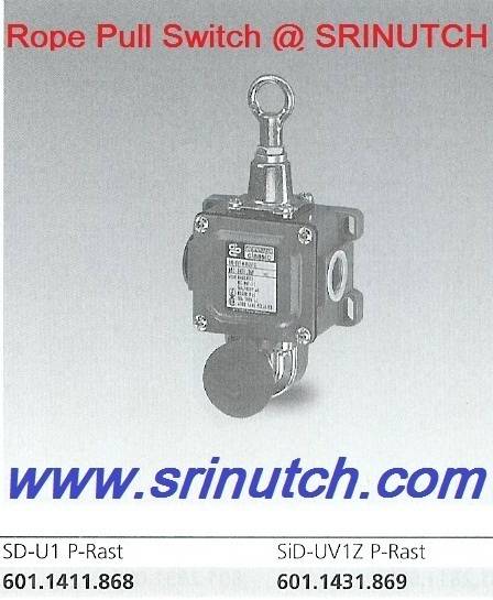 PRODUCT 6011431869 SiD-UV1Z-P-Rast BERNSTEIN @ SRINUTCH : บริษัท ศรีนุช คอมโพเนนท์ จำกัด ...