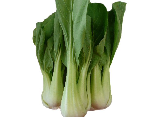 PRODUCT Xiao Bai Chye : บริษัท ที.เอ็ม.ซี. อะโกร เฟรช จำกัด | T.M.C ...