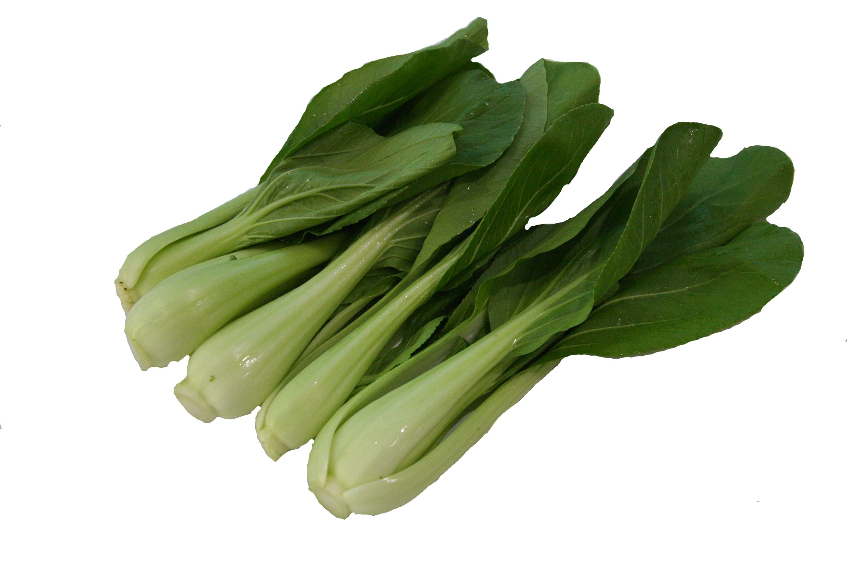 PRODUCT Xiao Bai Chye : บริษัท ที.เอ็ม.ซี. อะโกร เฟรช จำกัด | T.M.C ...