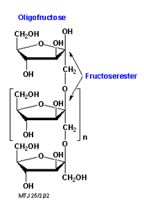 KNOWLEDGE Oligofructose : บริษัท เอสเอ็มทีซี จำกัด | SMTC Co.,Ltd.